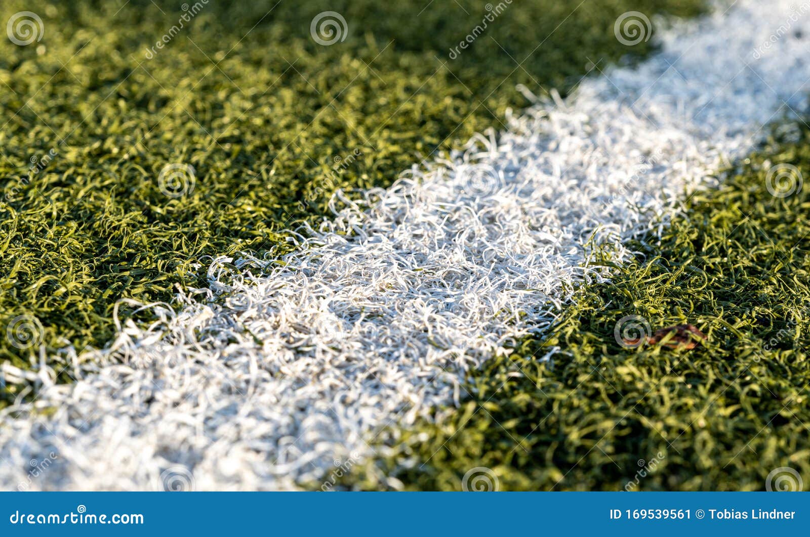 White Line Marking on Artificial Grass Stock Image - Image of ...