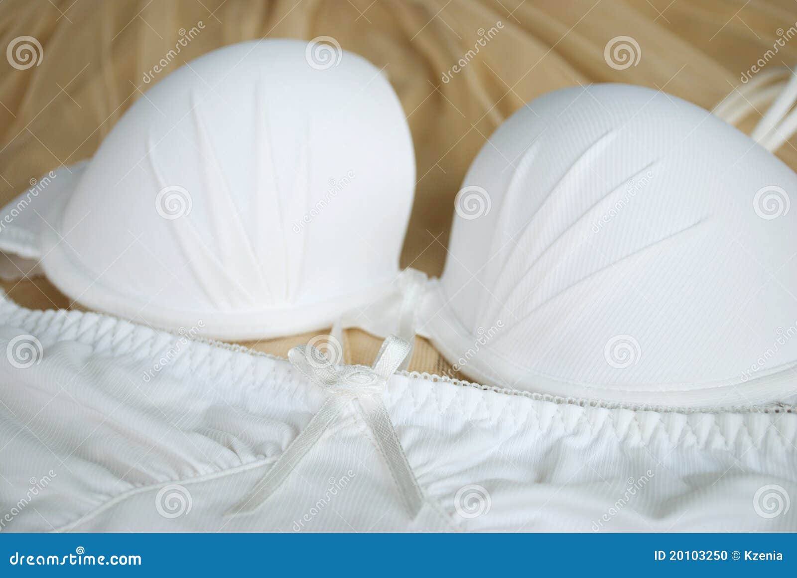 White lingerie stock photo. Image of sensuality, straps - 20103250