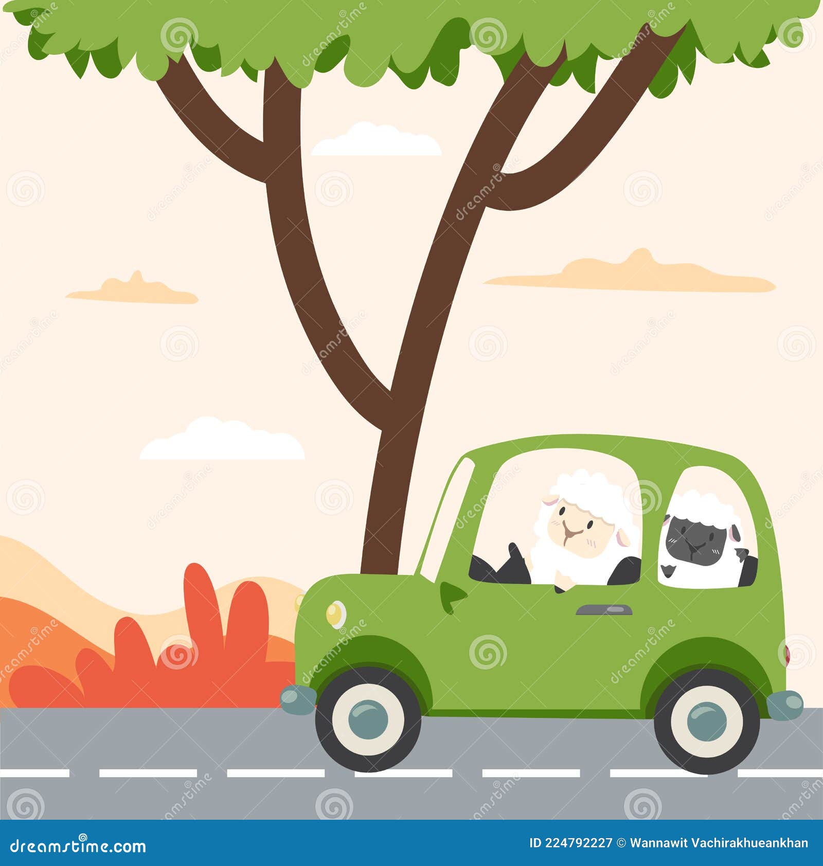 White Little Sheep and Black Sheep Driving Car Flat Styled Stock Vector ...