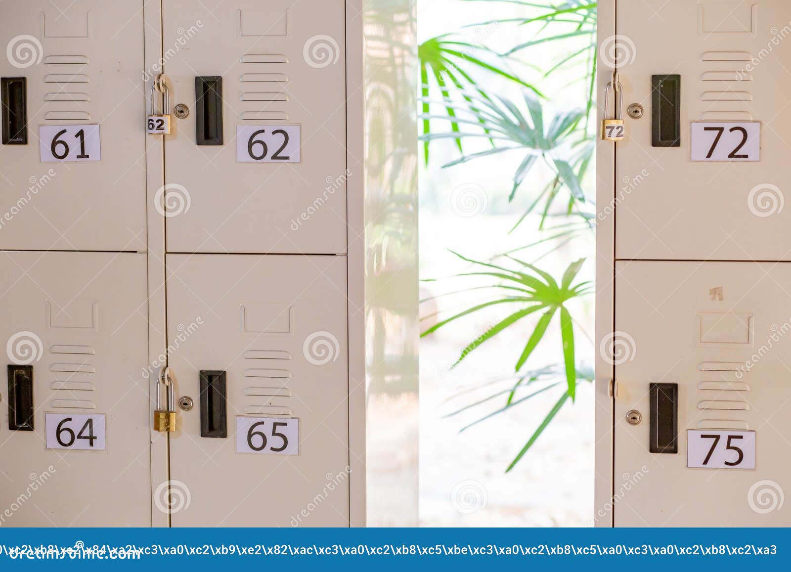White Lockers for Safe Storage There are Numbers Attached for ...
