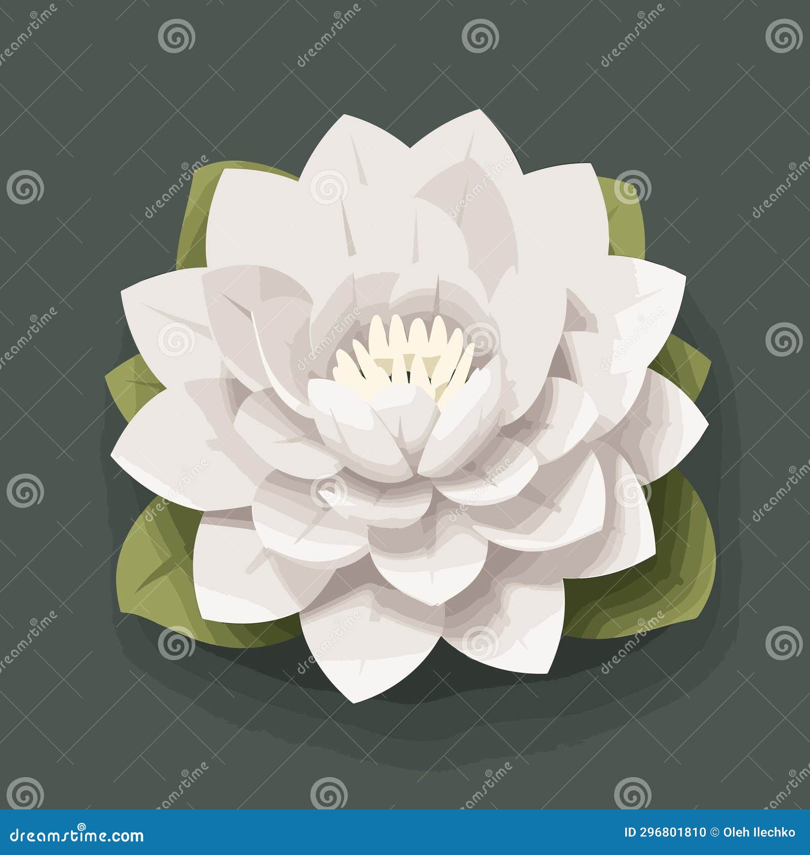 WHITE LOTUS Vector Flat Minimalistic Isolated Illustration Stock Vector ...
