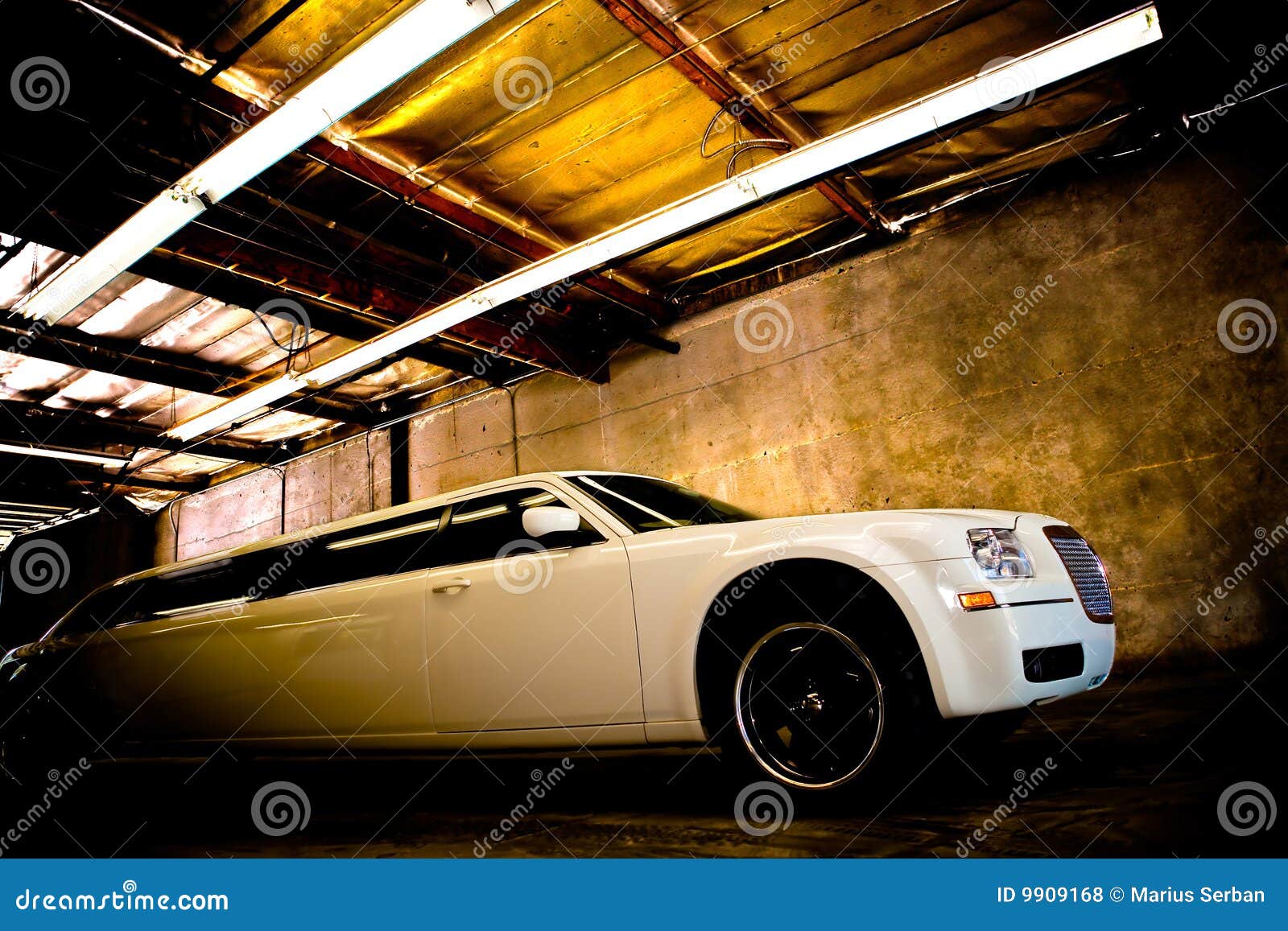 White Luxury Limousine stock photo. Image of grunge, luxury - 9909168