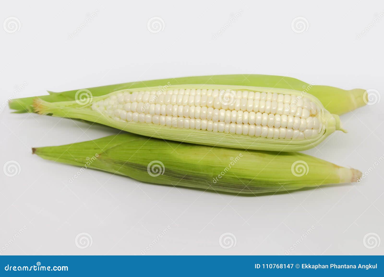 White Maize Corn stock image. Image of fresh, natural - 110768147