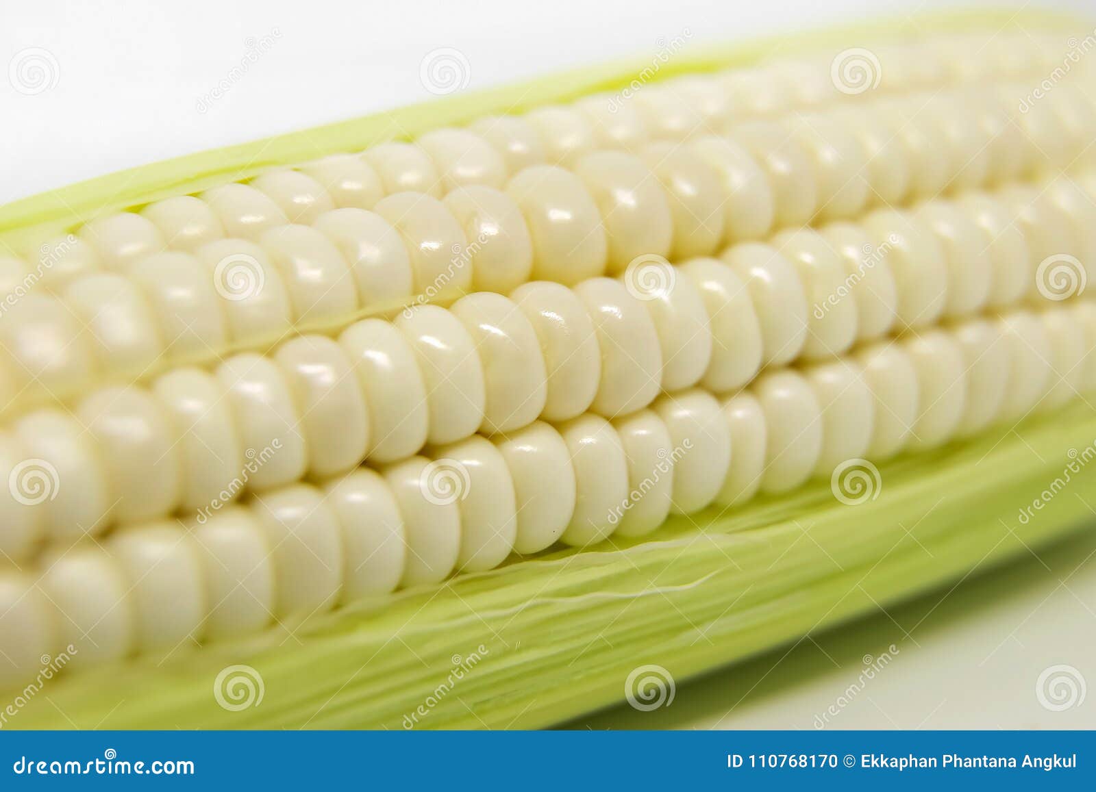 White Maize Corn stock photo. Image of produce, background - 110768170