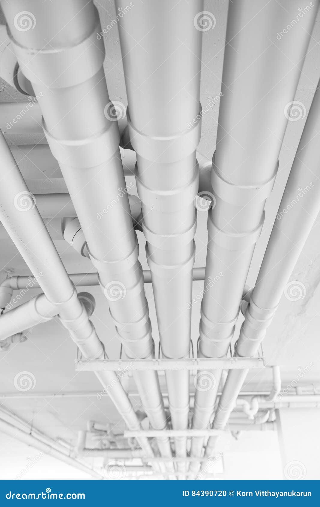 White Manage Water Pipe, Safety and Clean Watering System in ...