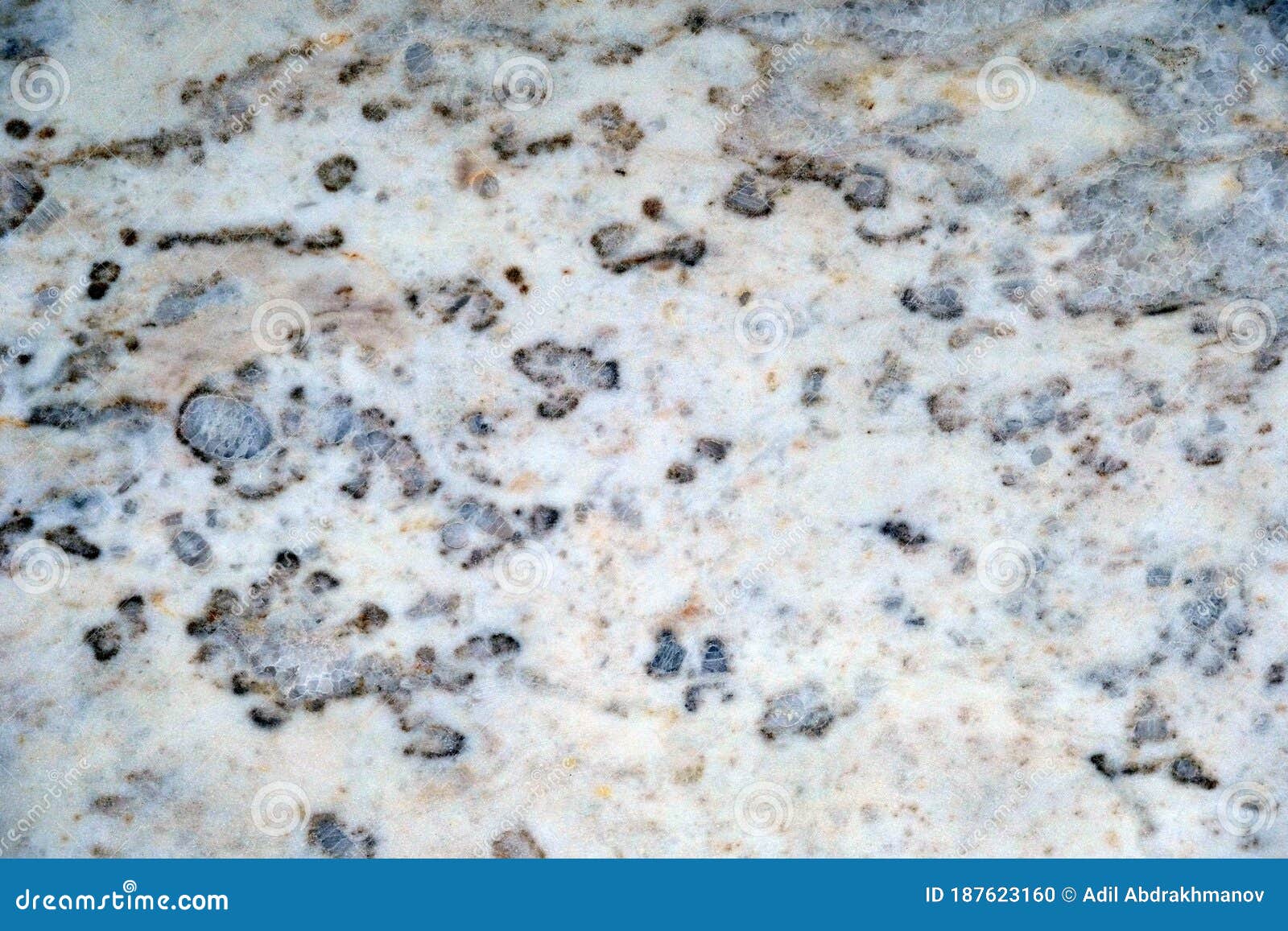 White Marble with Black Dots Texture Stock Photo - Image of black ...