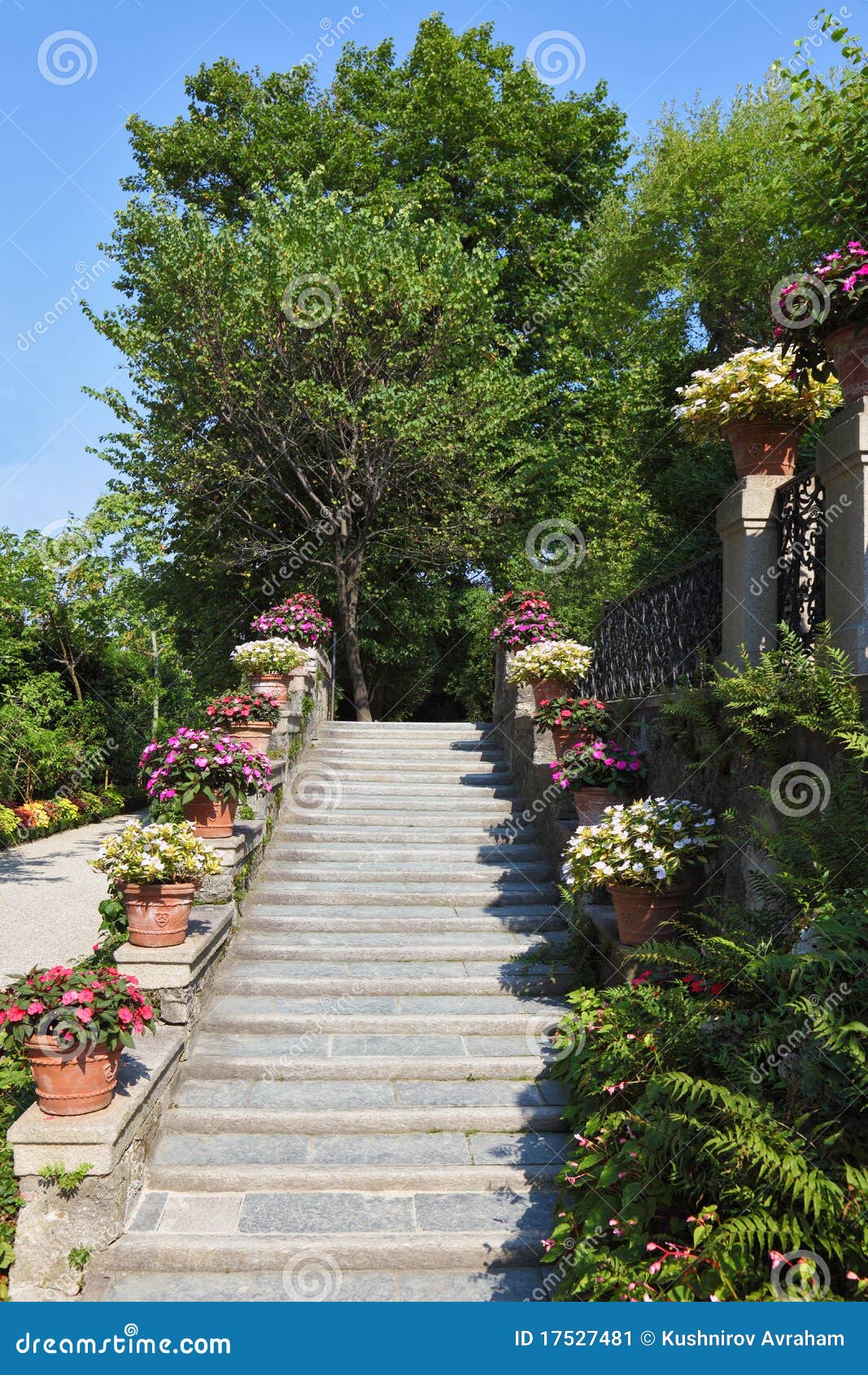 White marble ladder stock image. Image of nature, green - 17527481