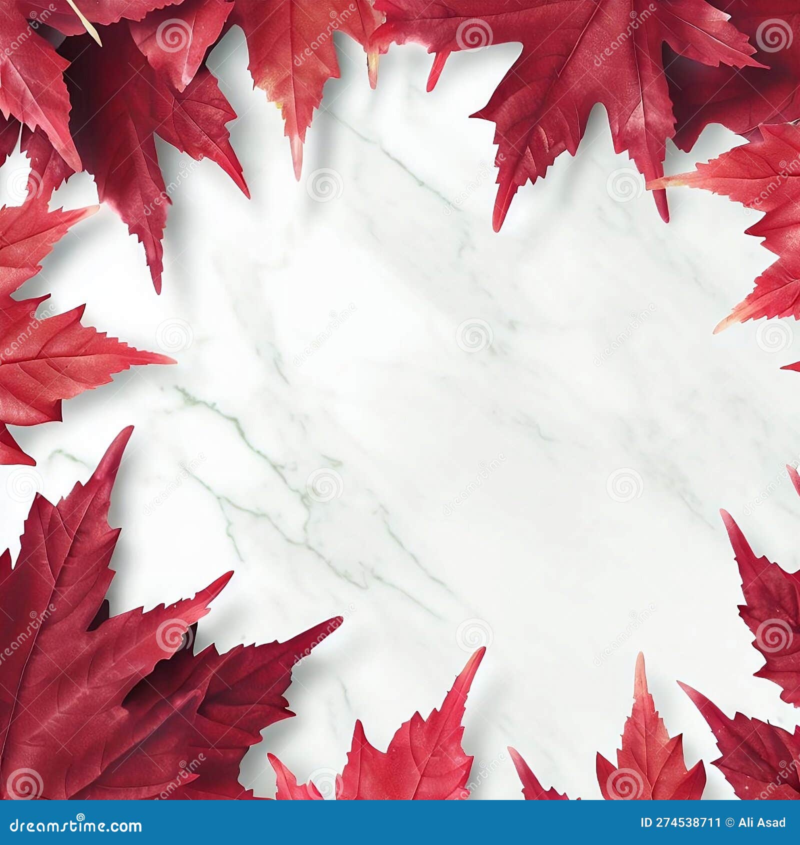 White Marble Modern Background with Maple Leaves Frame Stock ...