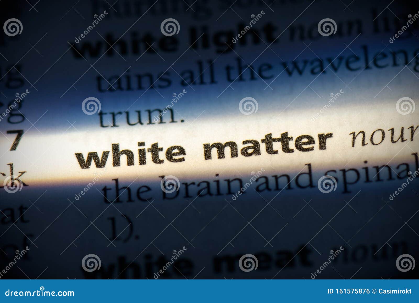 White matter stock photo. Image of definition, book - 161575876