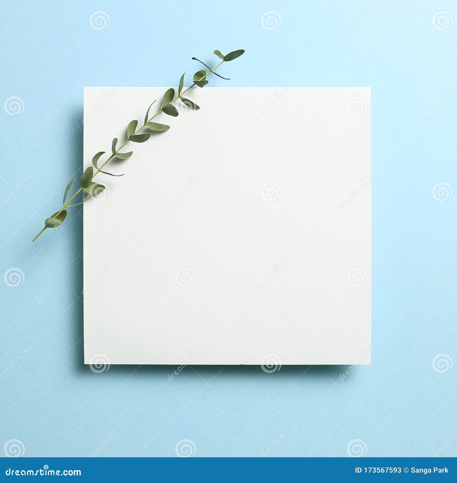 White Memo Pad, Empty Paper with Eucalyptus Leaves on Sky Blue ...