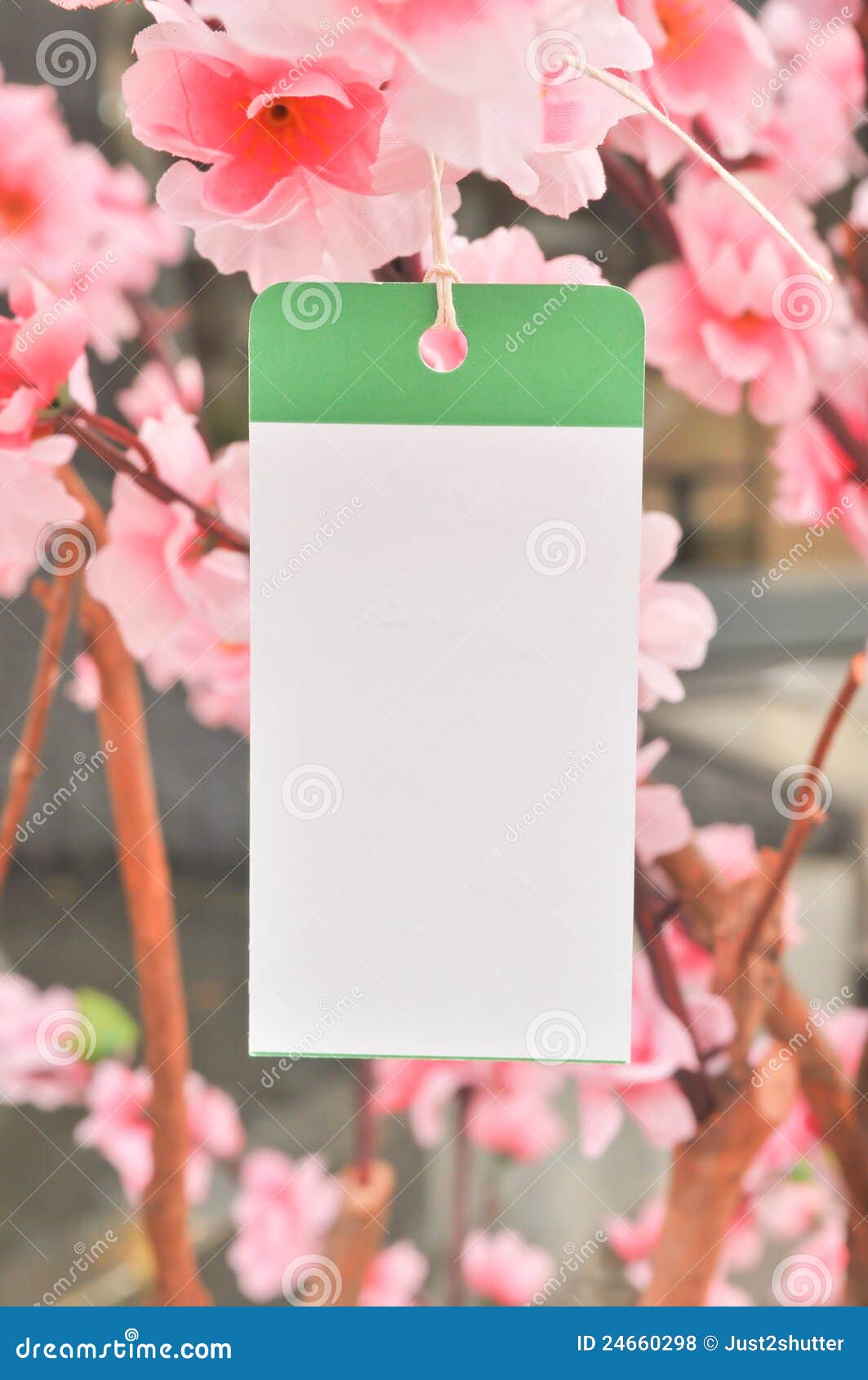 White Memo Paper Hanging on Beautiful Tree Stock Photo - Image of clean ...