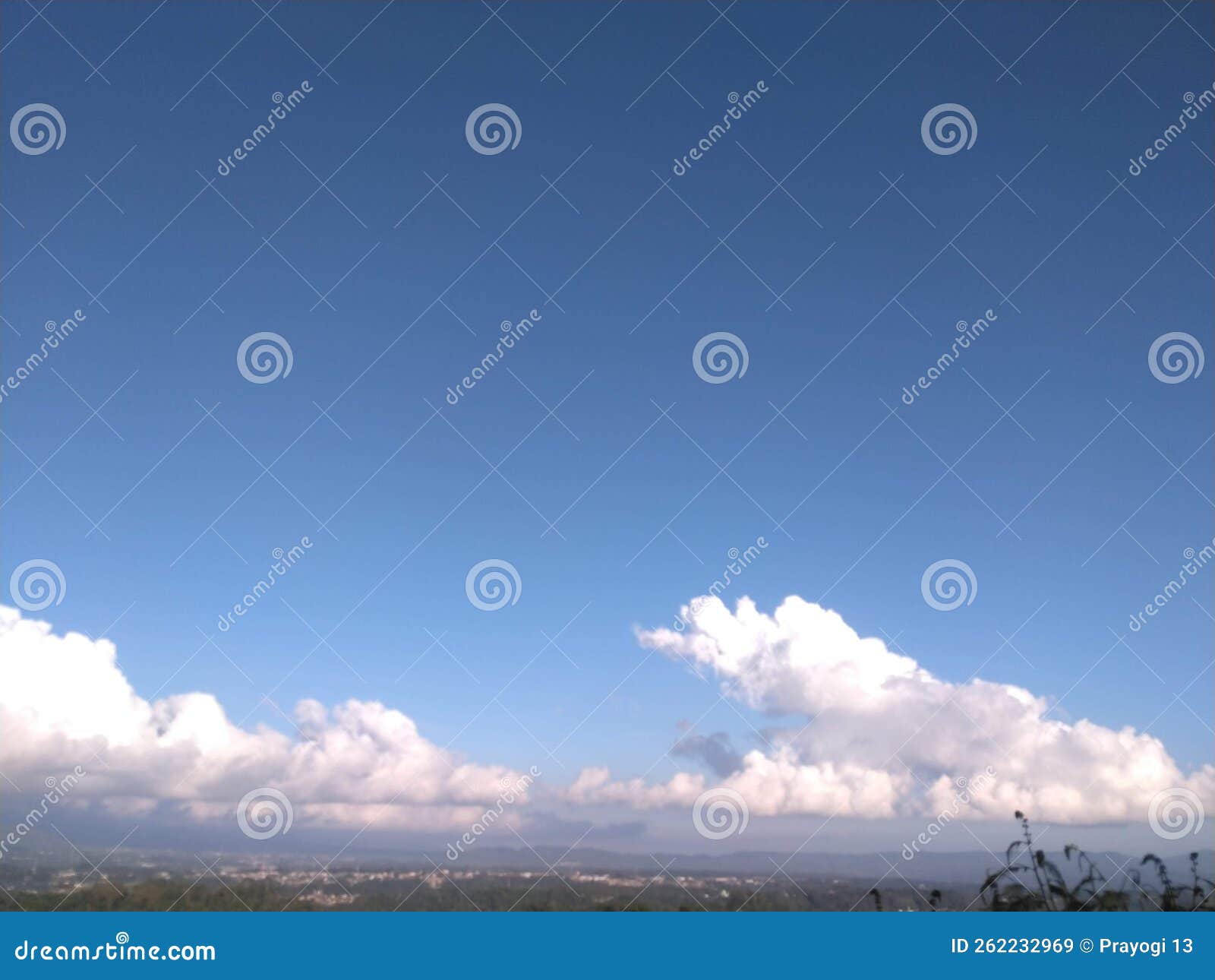 White Milky Wood Texture With Thin Grainy Structure Royalty-Free Stock ...