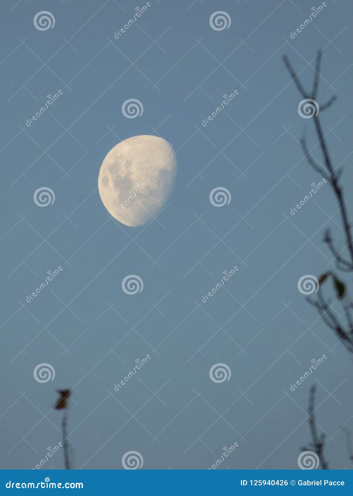 The white moon stock photo. Image of close, heaven, glow - 125940426