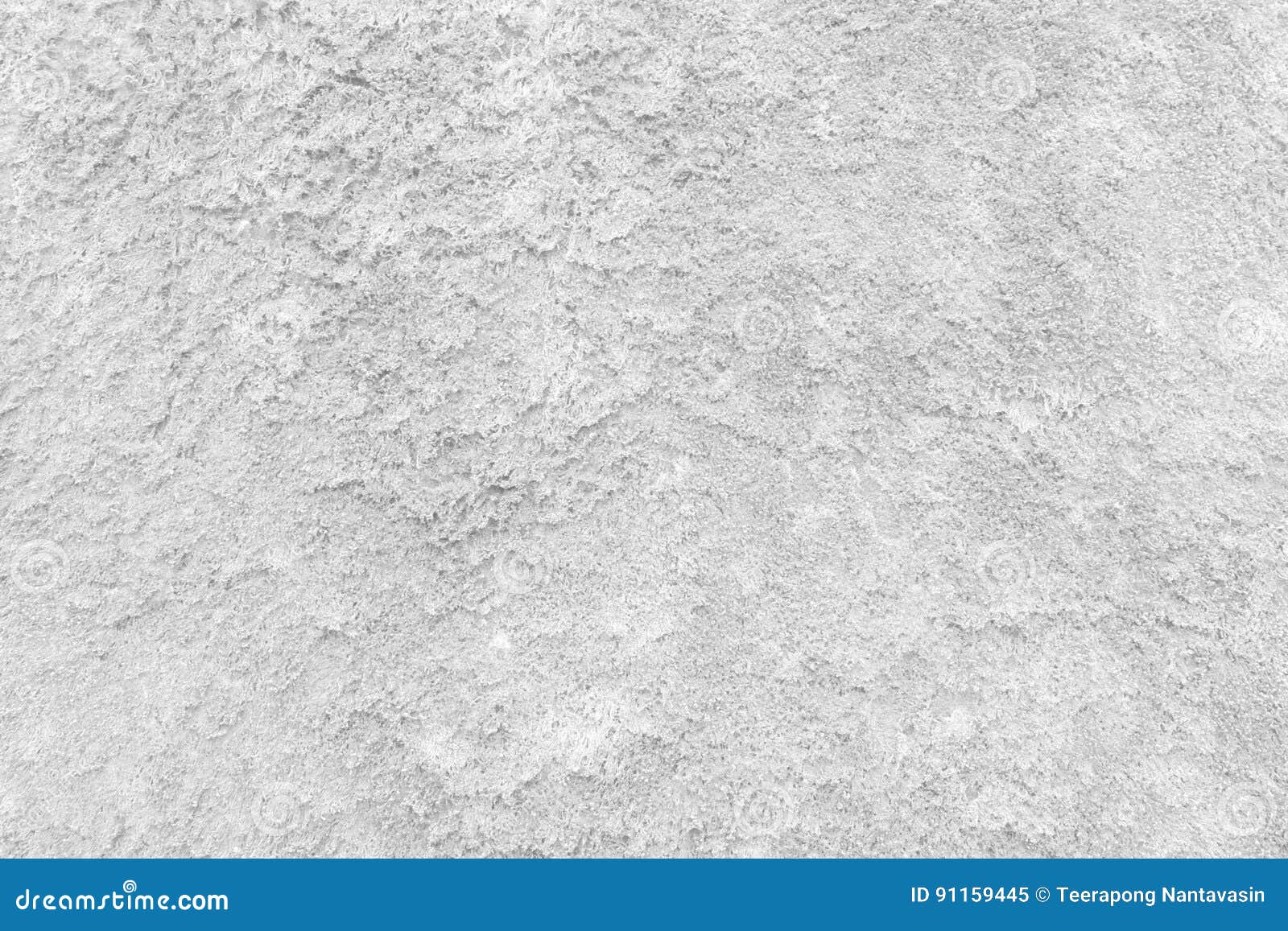 White Moss Wall. stock image. Image of construction, material - 91159445