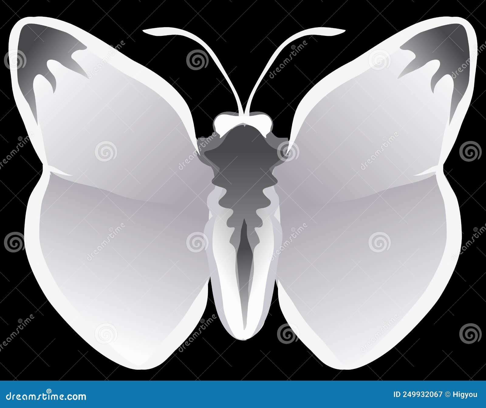 White Moth stock vector. Illustration of white, vector - 249932067