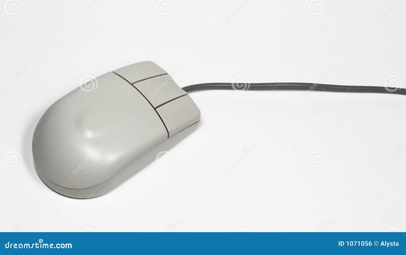 White Mouse stock photo. Image of computer, device, selection - 1071056