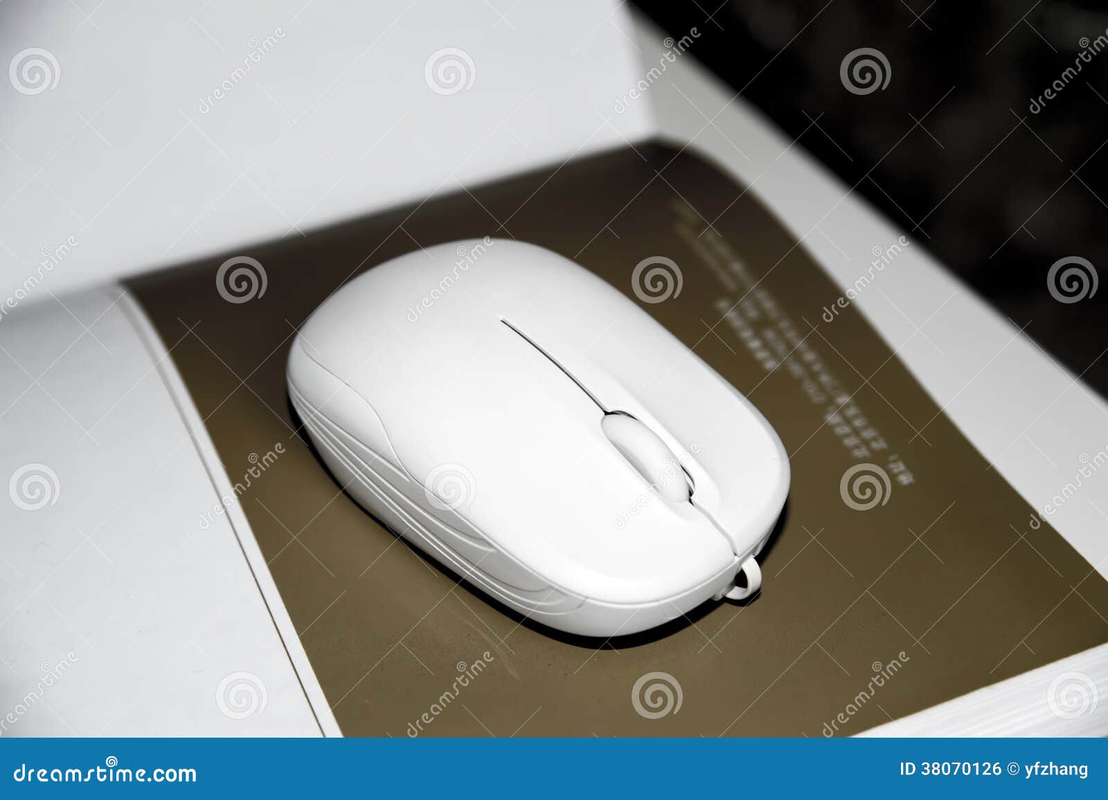 White mouse stock photo. Image of lovely, office, pure - 38070126