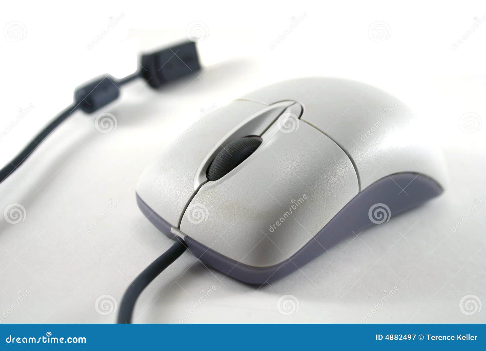 White Mouse stock image. Image of browsing, laser, device - 4882497