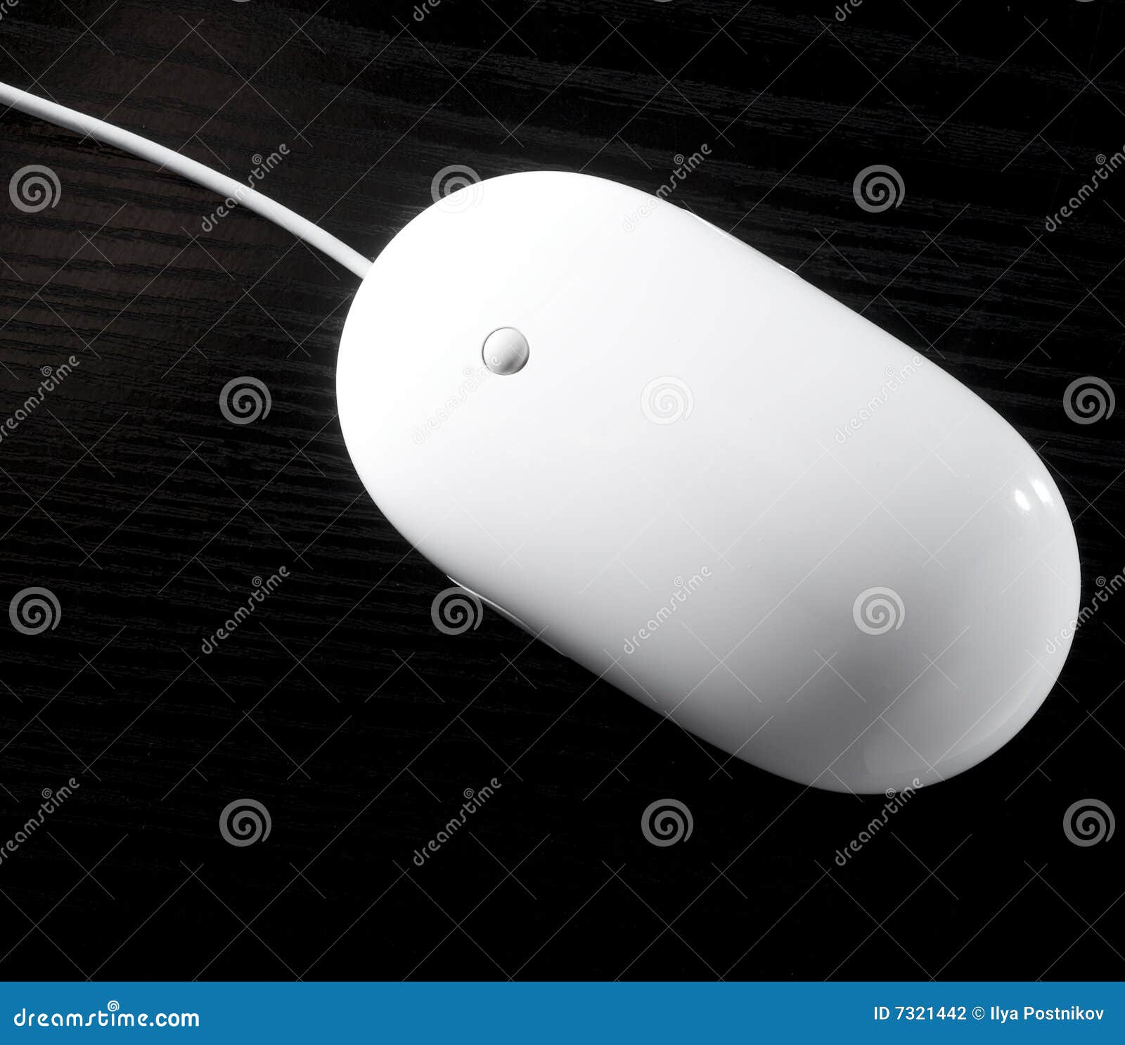 The white mouse stock photo. Image of connection, modern - 7321442