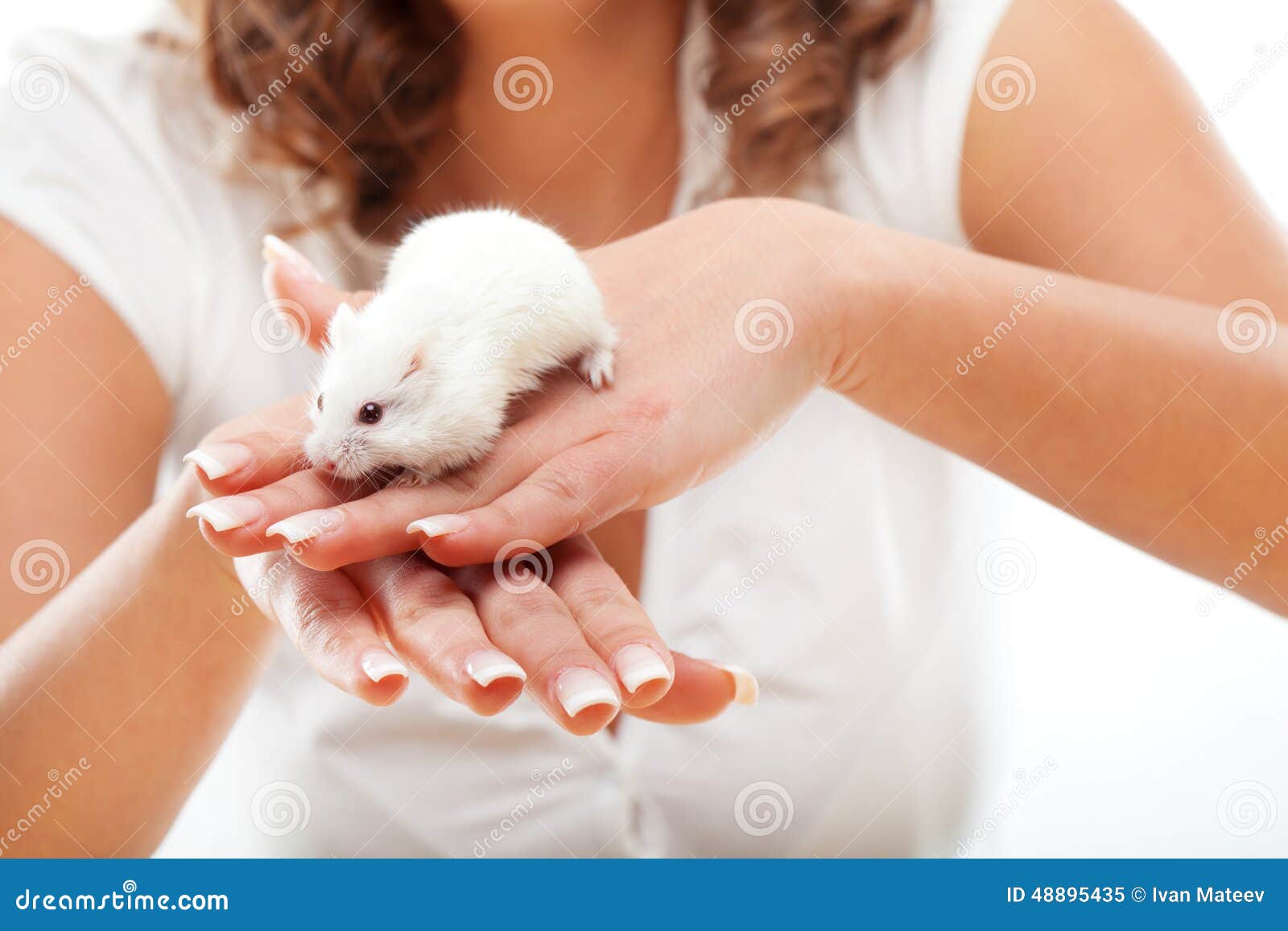 White Mouse in Female Hands Stock Image - Image of woman, front: 48895435