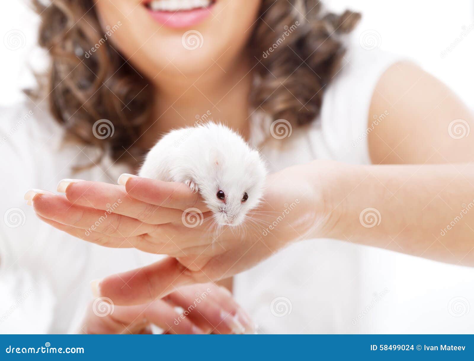 White Mouse in Female Hands Stock Photo - Image of looking, woman: 58499024