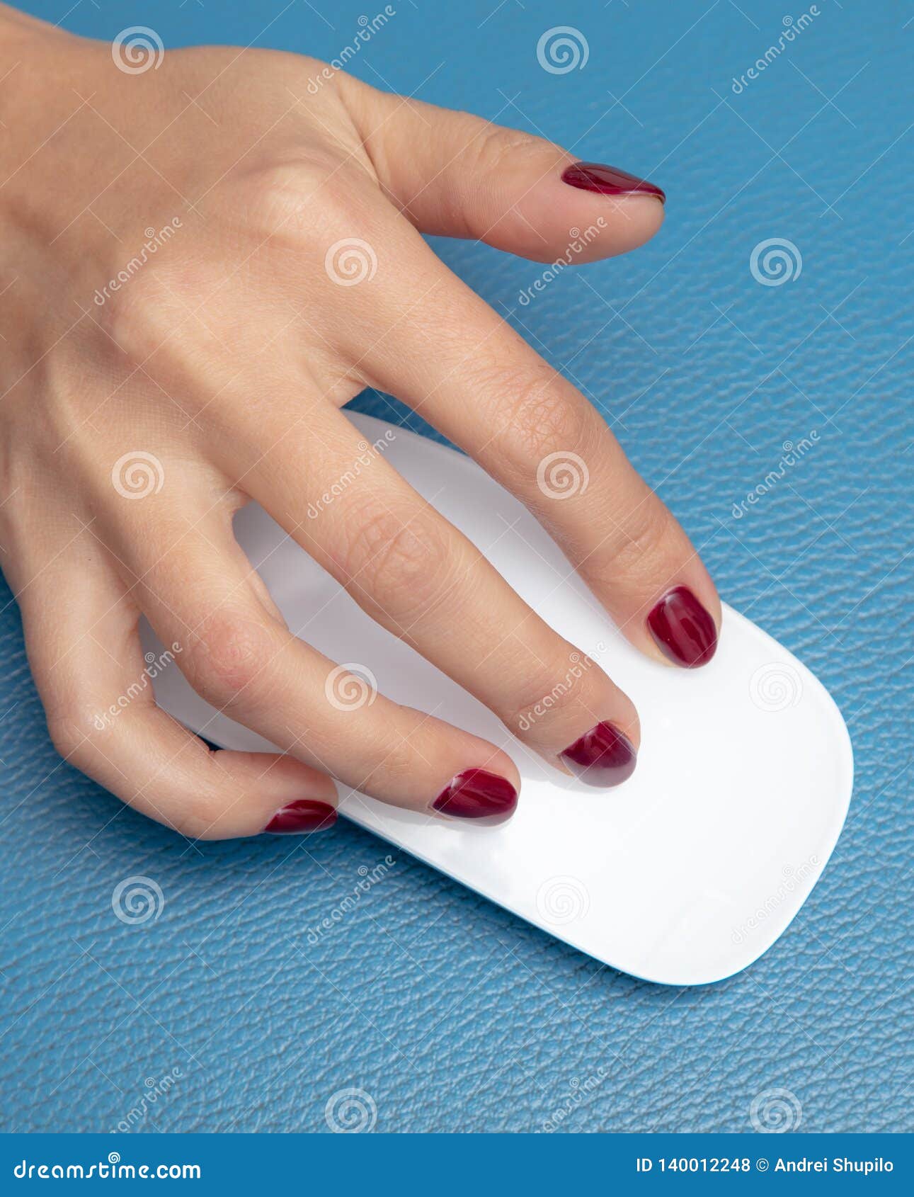 White Mouse in the Hand of the Girl on a Blue Background Stock Photo ...