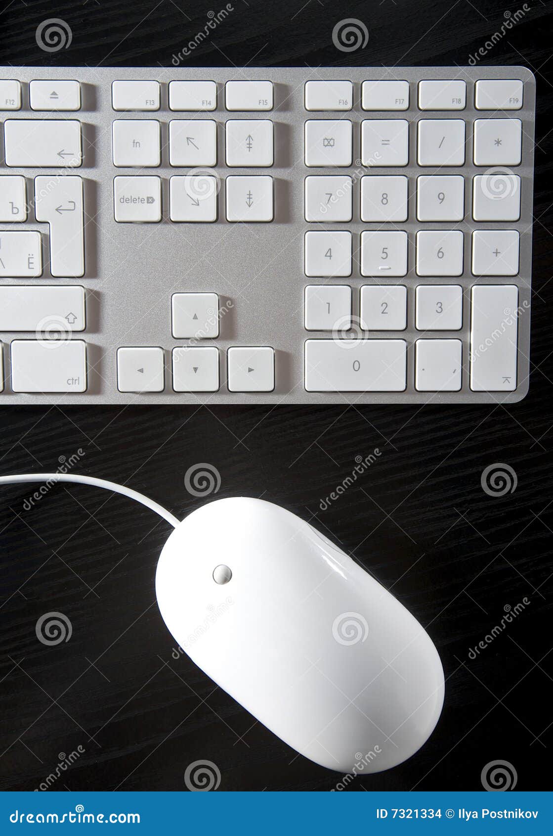 The White Mouse and the Keyboard Stock Photo - Image of connection ...
