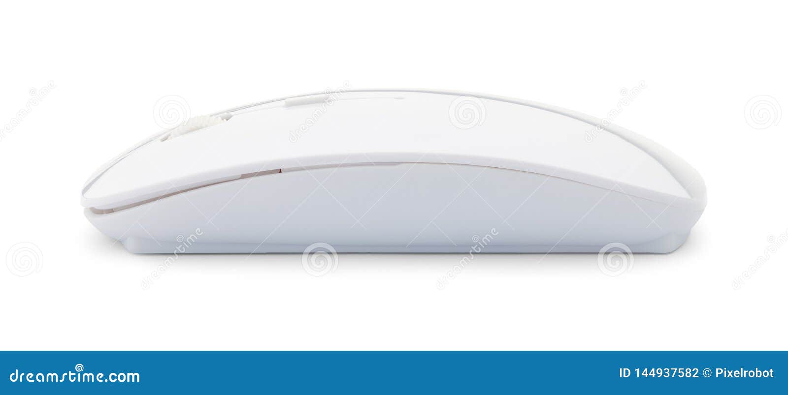 White Mouse Side View stock photo. Image of side, mouse - 144937582