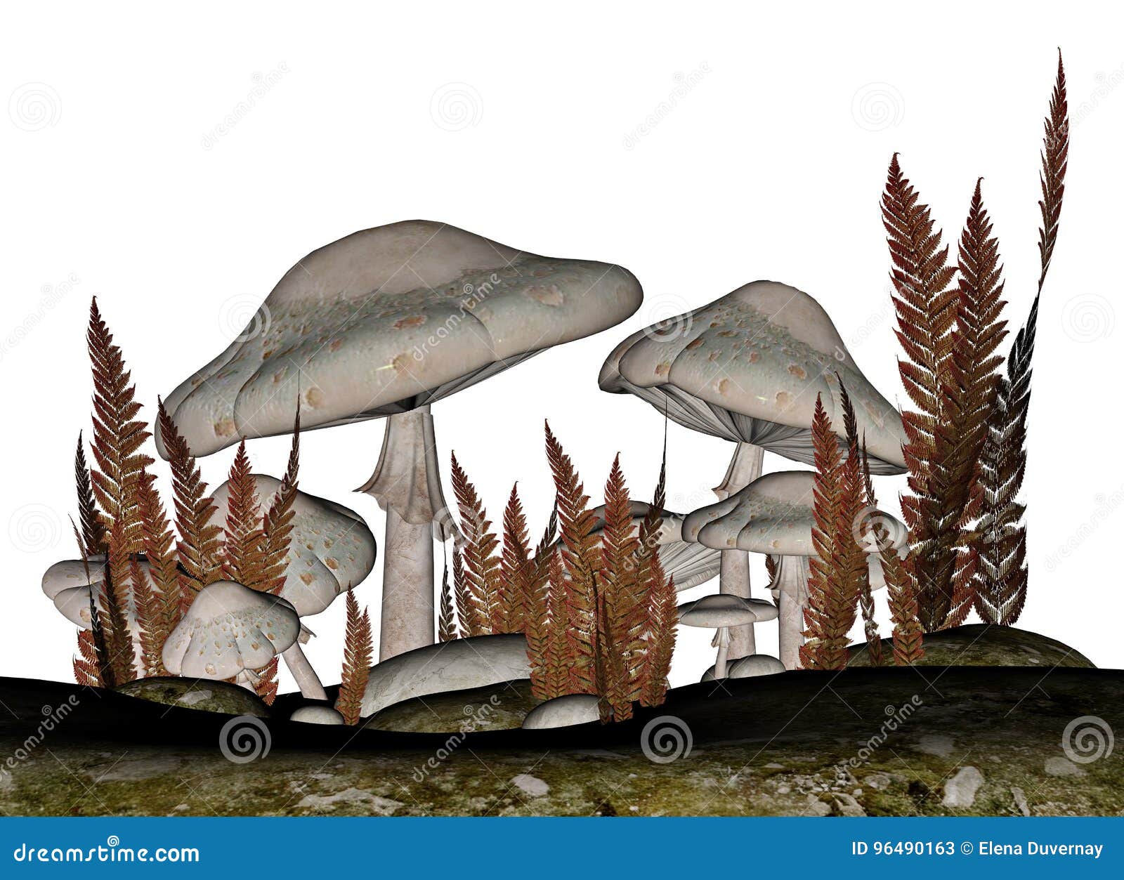 Mushrooms And Vegetation. Fungus. Mycelium. Spore Cartoon Vector ...