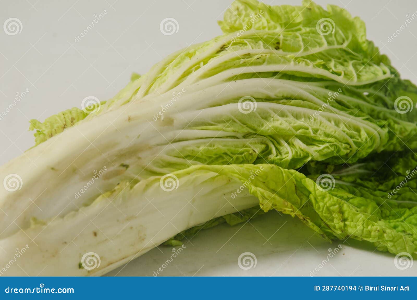 A White Mustard on a White Background. Stock Photo - Image of dish ...