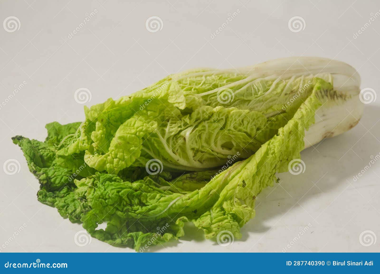 A White Mustard on a White Background. Stock Photo - Image of dish ...