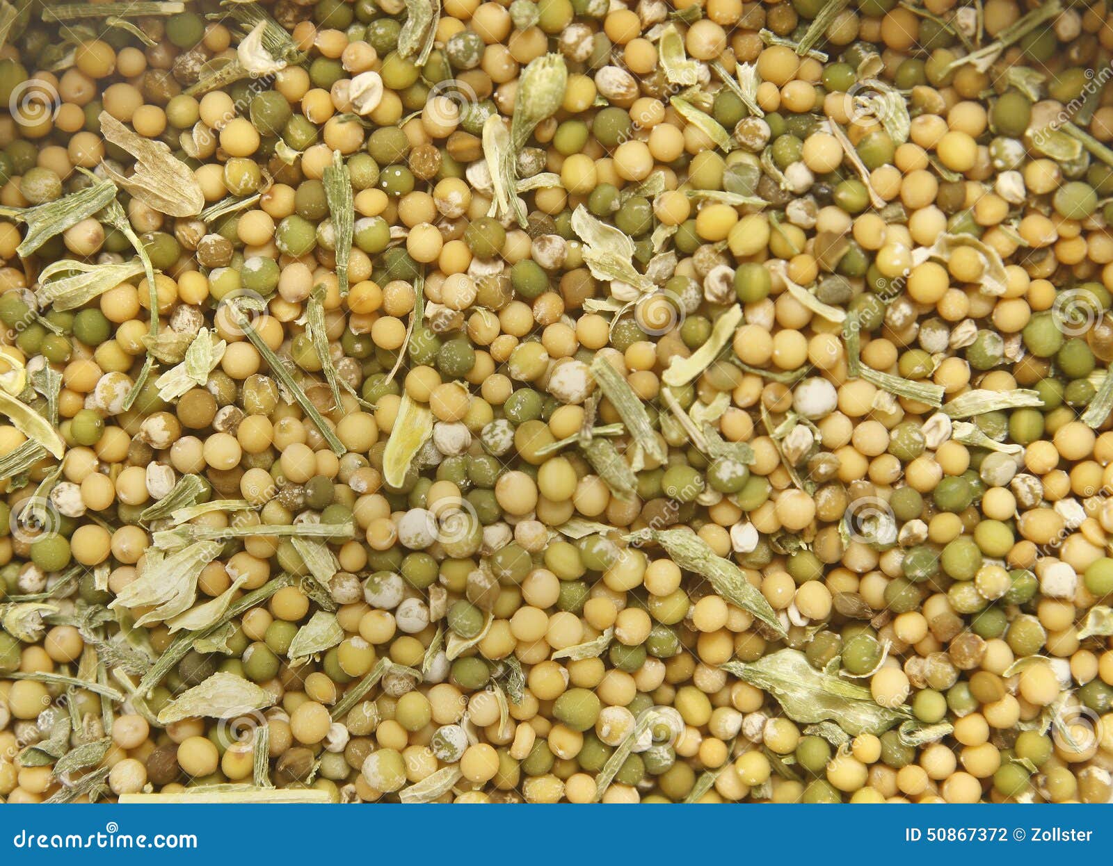 White mustard stock photo. Image of spices, fresh, dried - 50867372