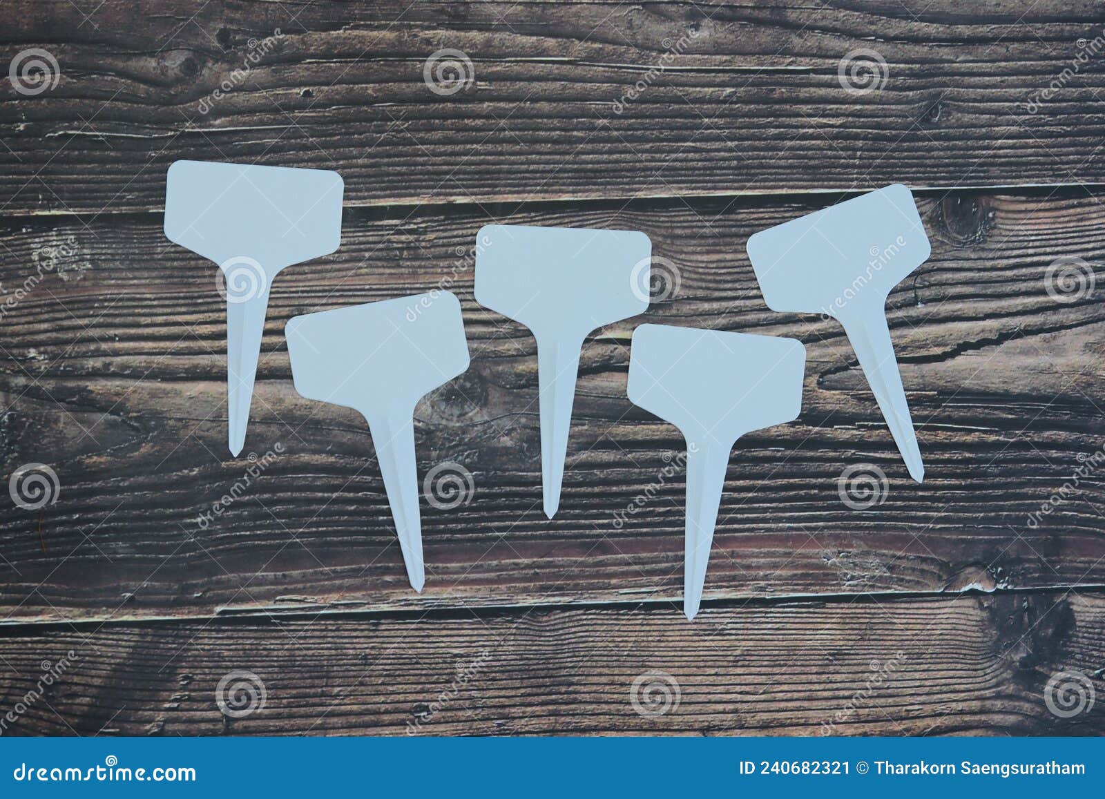 5 White Name Tags for Tree Names Placed on the Old Wood Stock Image ...