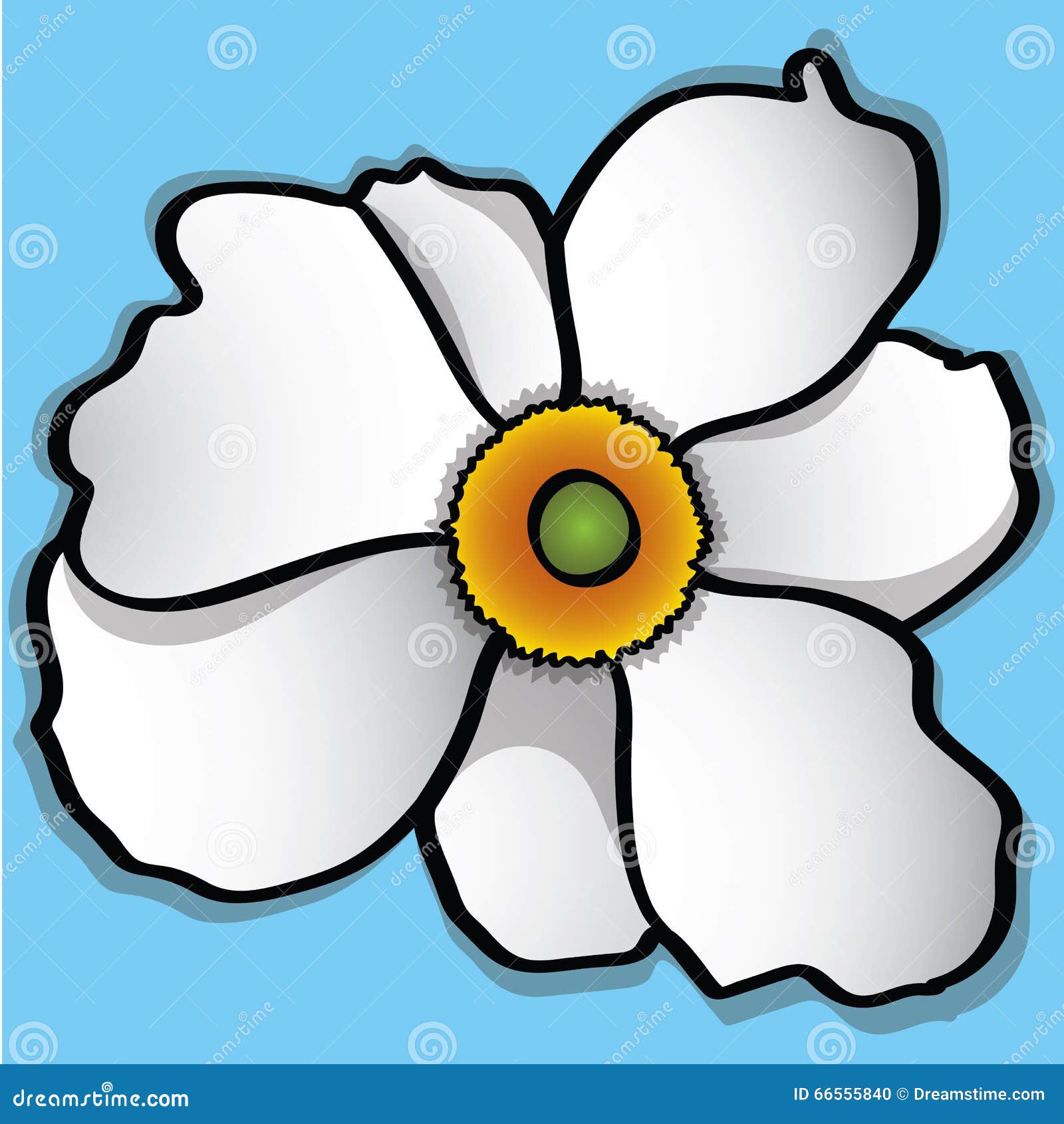 White Narcissus In The Triangulation. Against The Backdrop Of ...