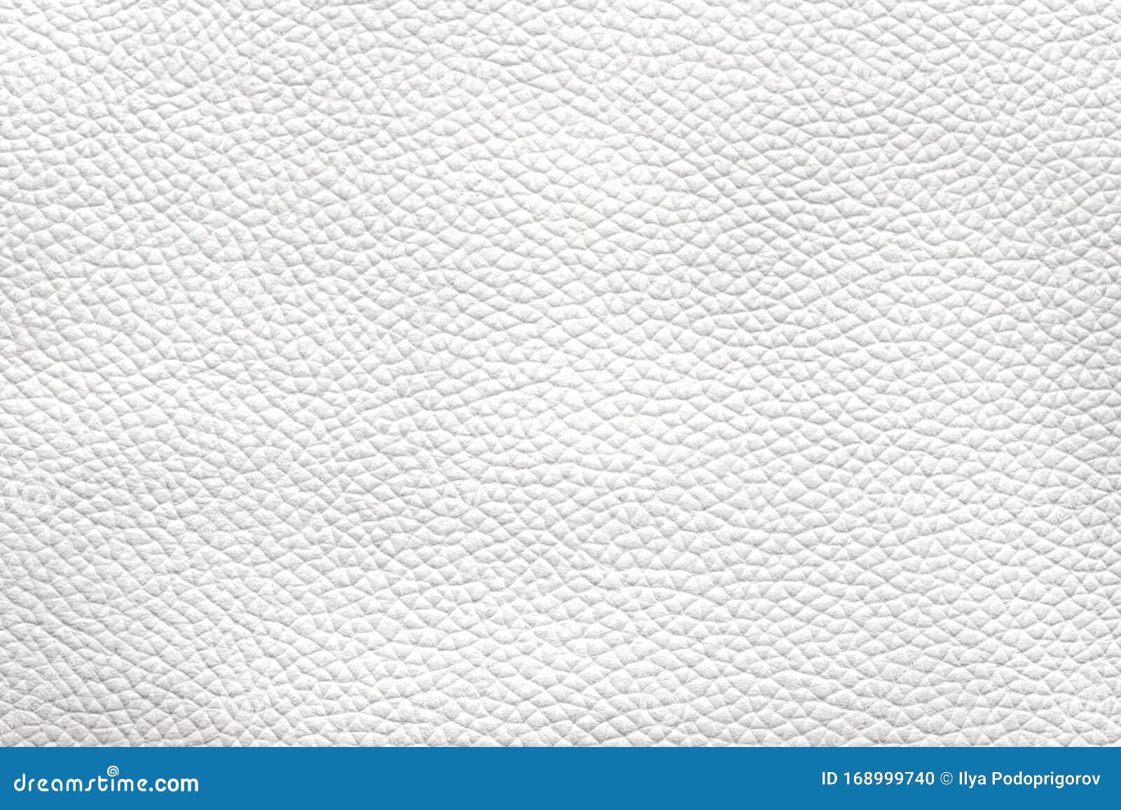 White Natural Animal Skin Texture. Skin with Pattern Stock Photo ...
