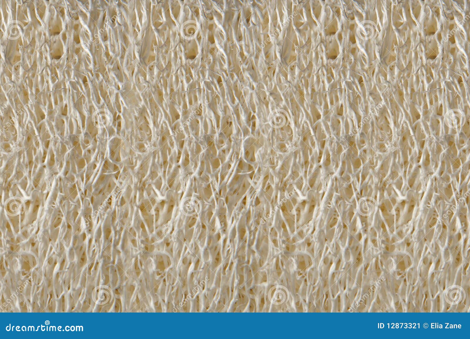 White Natural Luffa Sponge Texture, Front View Stock Image - Image of ...