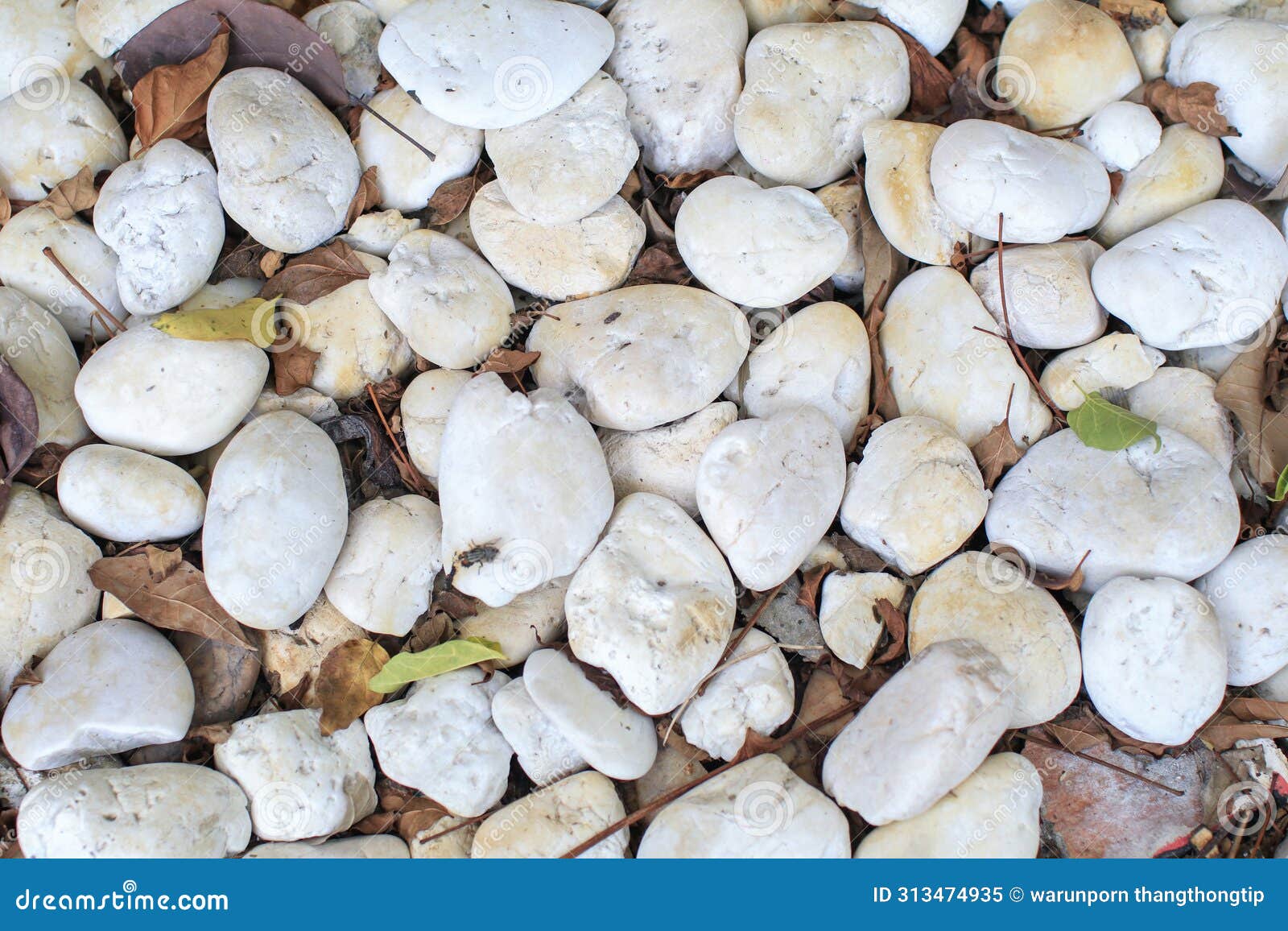White Natural Stone Floor in the Garden, Rock Paddle Material Texture ...