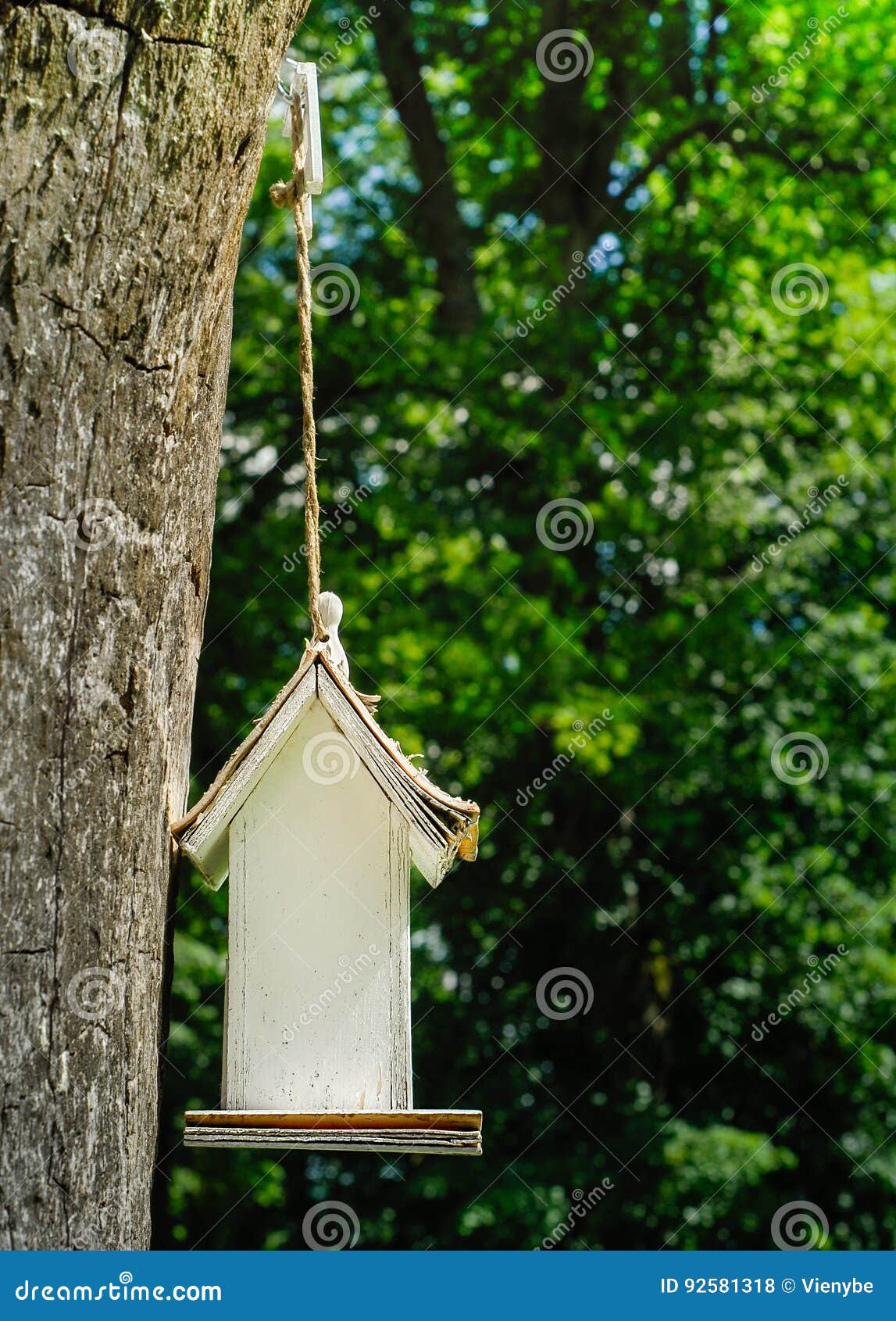 White Nesting Box on an Old Tree Stock Photo - Image of birdhouse ...