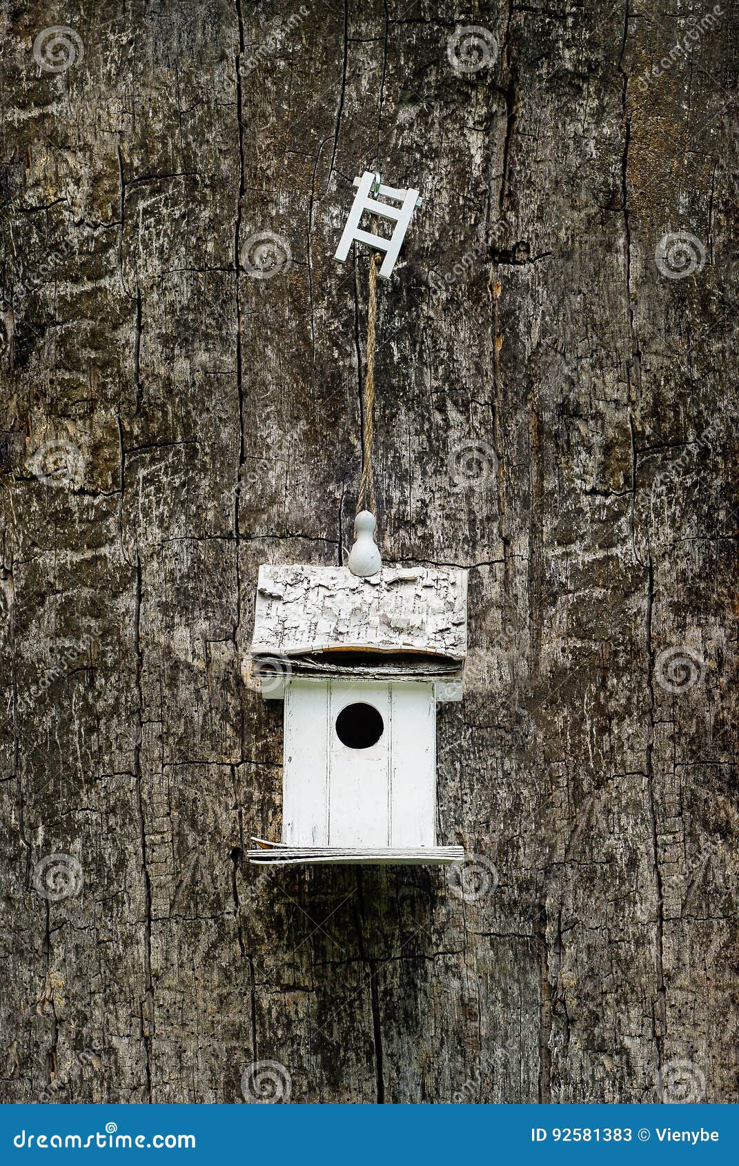 White Nesting Box on an Old Tree Stock Image - Image of life, cute ...