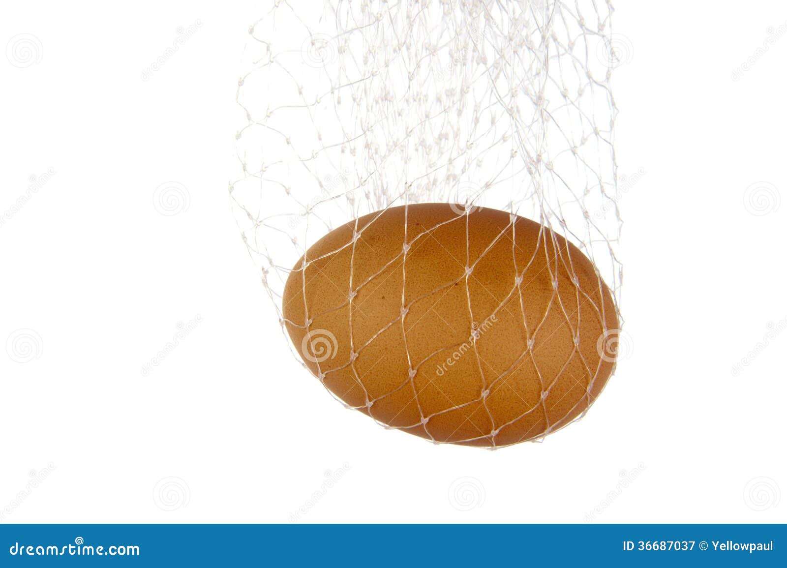 White net with single egg stock image. Image of easter - 36687037