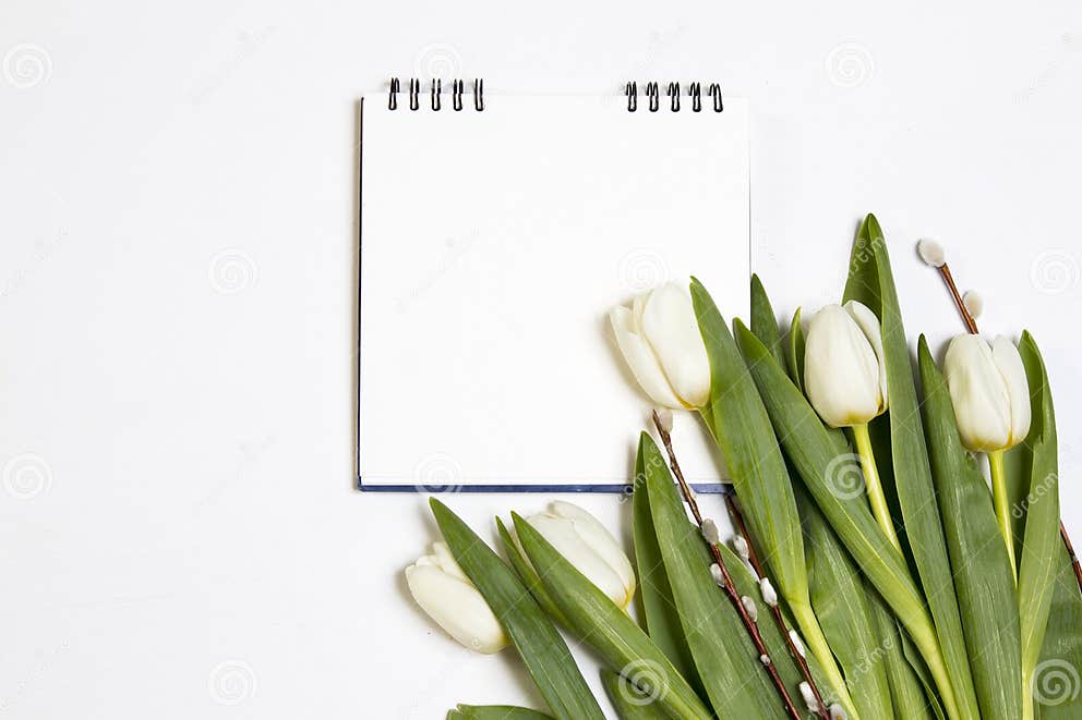 White Note Pad in a Frame of White Tulips with a Willow Stock Image ...