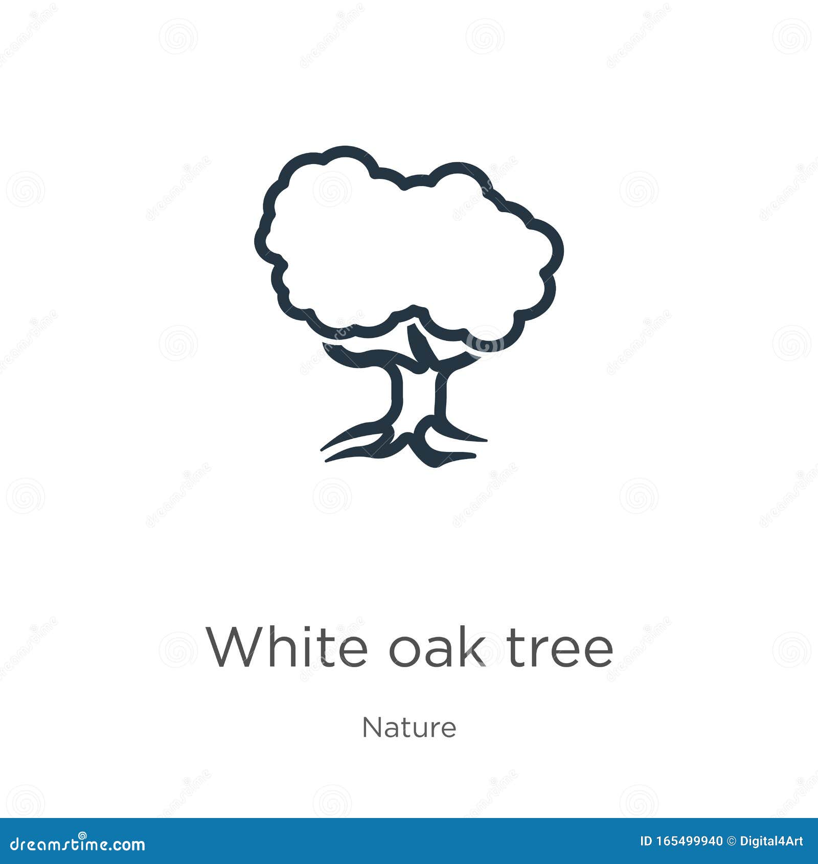 White Oak Tree Icon. Thin Linear White Oak Tree Outline Icon Isolated ...