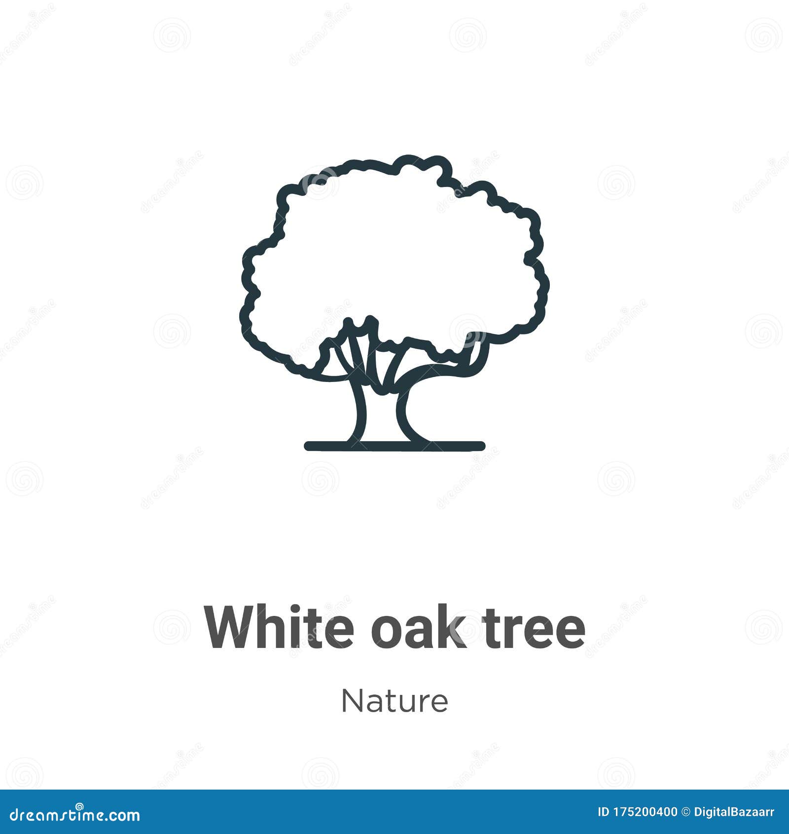 White Oak Tree Outline Vector Icon. Thin Line Black White Oak Tree Icon ...