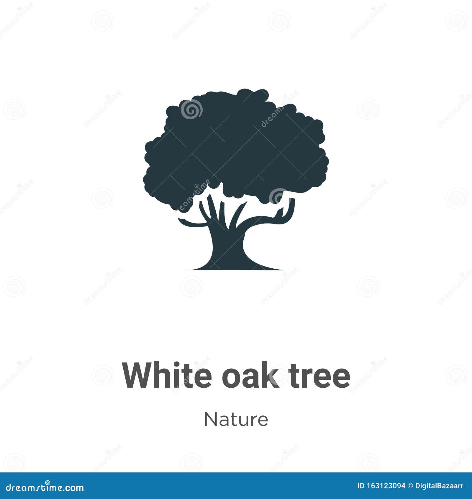 White Oak Tree Vector Icon on White Background. Flat Vector White Oak ...