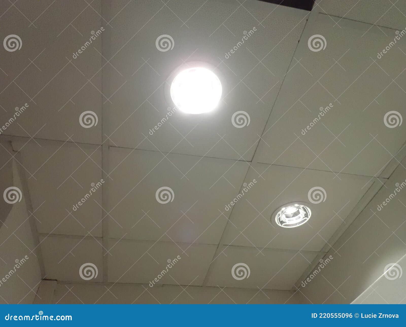 White Office Building Ceiling Grid Stock Photo - Image of office ...