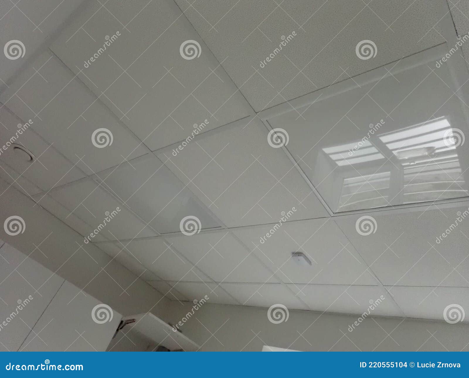 White Office Building Ceiling Grid Stock Photo - Image of ceiling ...