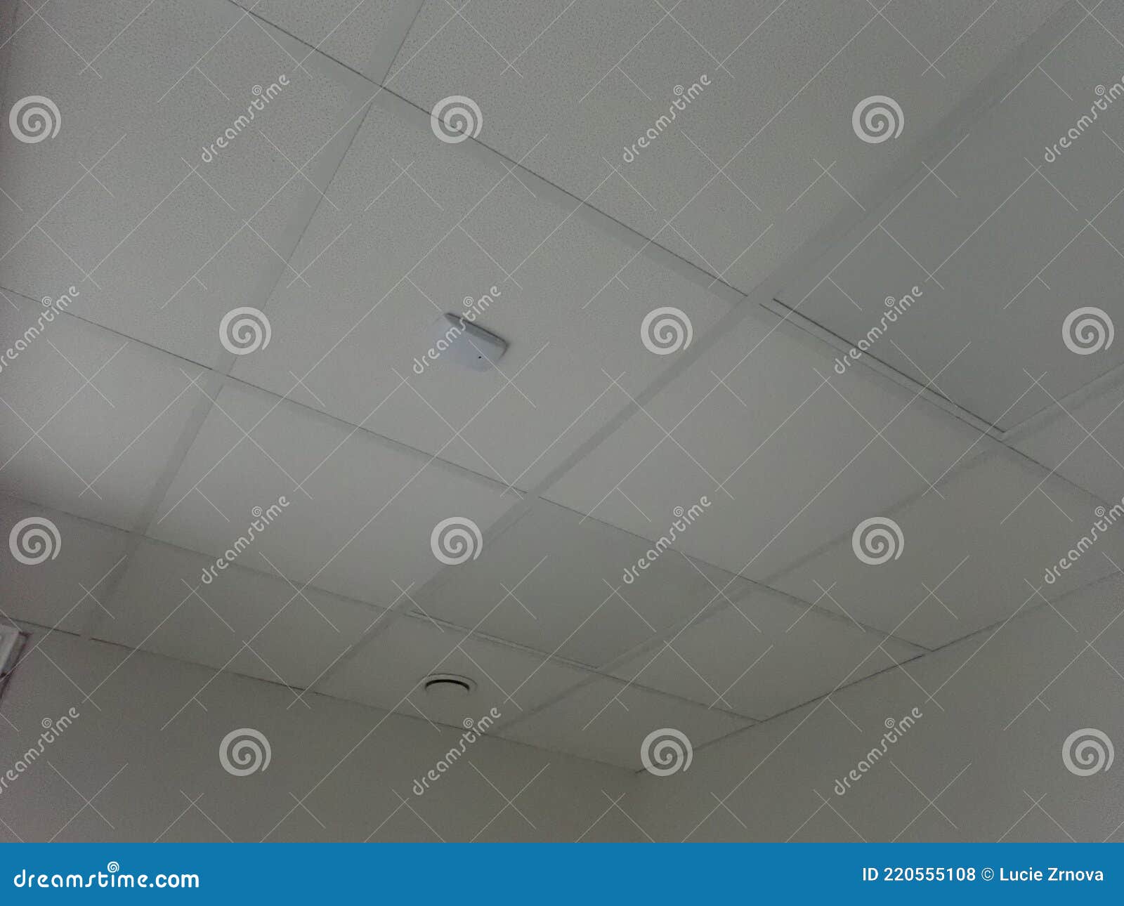 White Office Building Ceiling Grid Stock Photo - Image of fixture ...