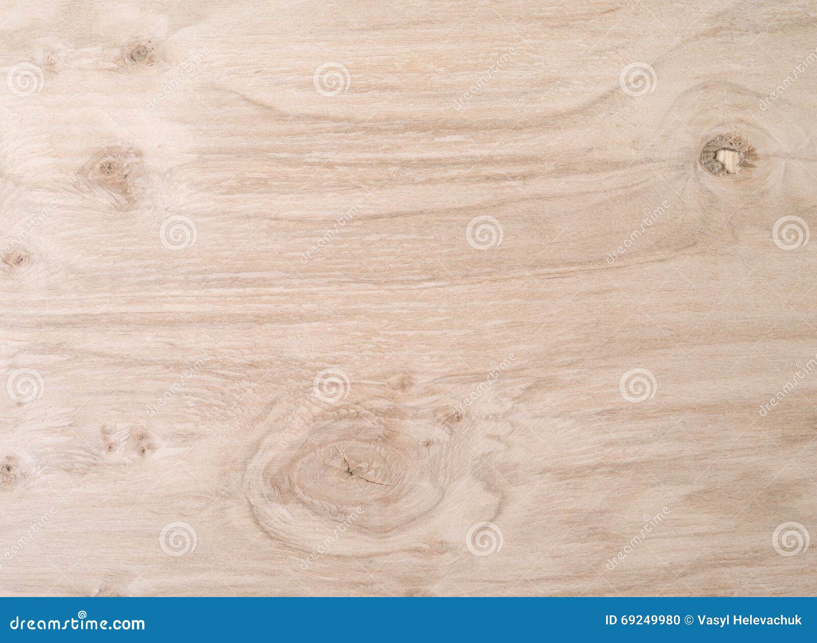 White old texture stock photo. Image of bark, pine, wooden - 69249980