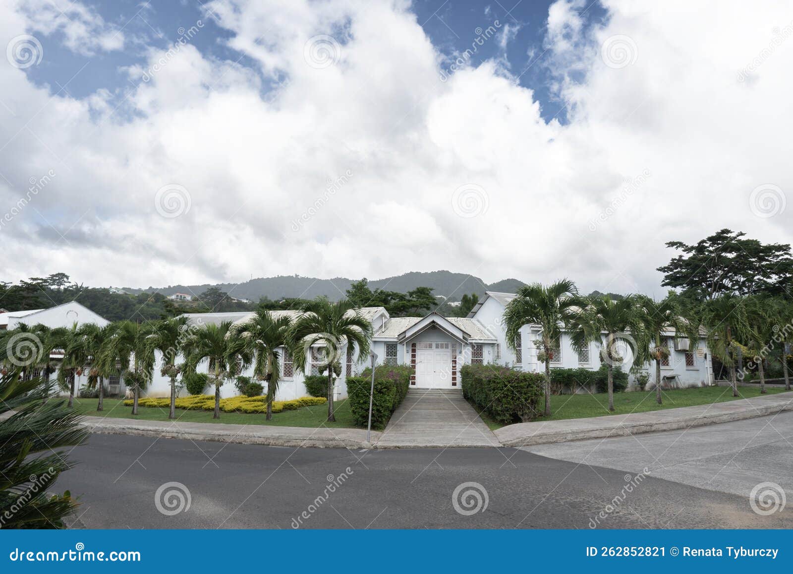 White, One Floor White Building with Palm Trees at Front and Mountains ...