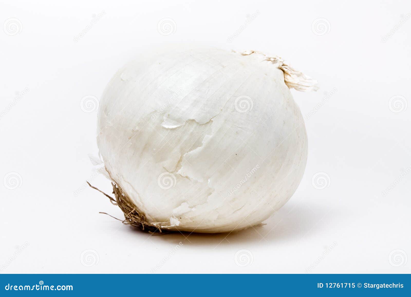 White Onion stock image. Image of nature, agriculture - 12761715